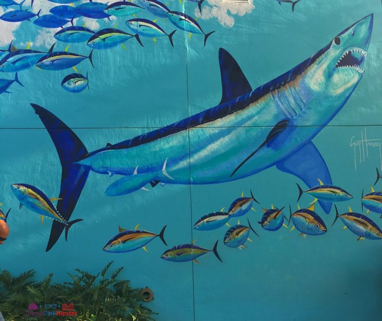 7 Surprising Reasons You MUST Ride Mako at SeaWorld Orlando in 2026 ...