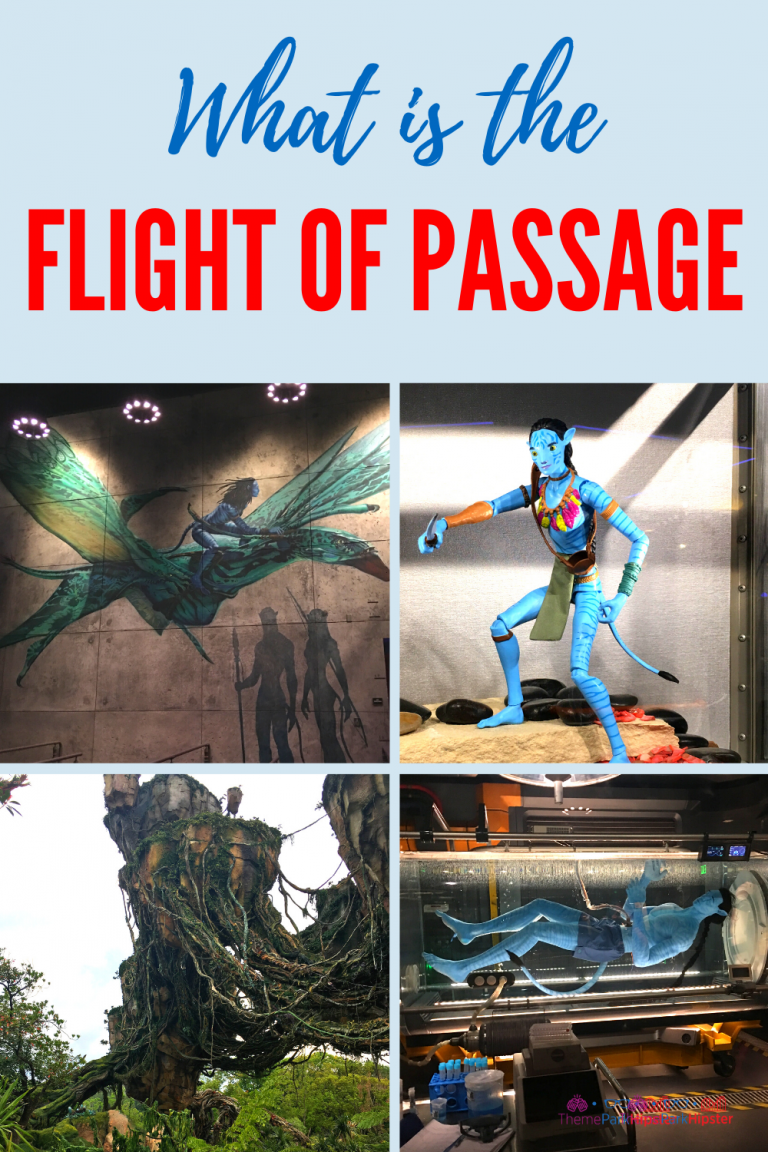Fly Like Never Before: The Ultimate Guide to Avatar Flight of Passage ...