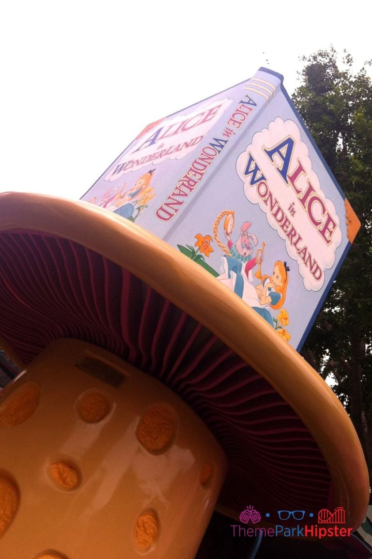 33 Weird (but true) Best Kept Secrets of Disneyland You MUST Know! - ThemeParkHipster