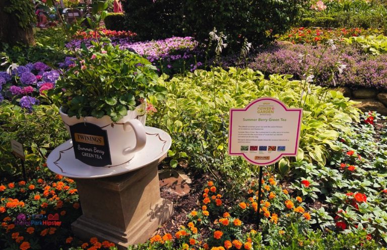 I Went to Epcot Flower & Garden Festival ALONE and You Should Too (18 ...