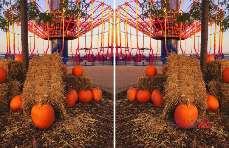 19 Survival Tips for Cedar Point HalloWeekends (2024 Ultimate Guide ...