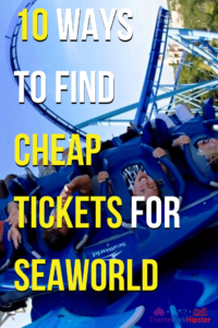 Top 10 Ways to Find Cheap SeaWorld Orlando Tickets (2026 ...