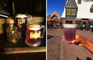 2026 First-timer's Guide to Hogsmeade at the Wizarding World of Harry ...