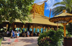 Volcano Bay 101: The Ultimate First-Timer’s Guide to Universal’s Water ...