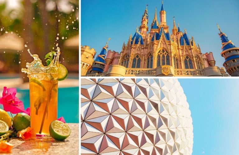 15 Most Unique and Delicious Alcoholic Drinks at Disney World You MUST ...