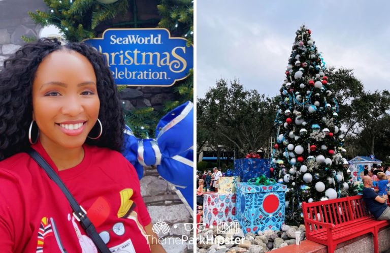 How to Get to SeaWorld Orlando from a Universal Hotel (Fastest Options ...