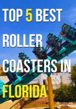 Ultimate Bucket List! 5 BEST Roller Coasters in Florida You Must-Do ...