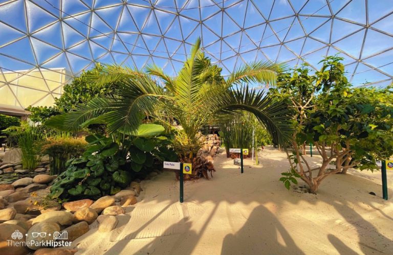 2025 EPCOT Crowd Calendar: Your Best Days to Go This Year ...