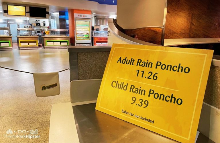 What’s the BEST Rain Poncho for Disney? These 7 Will Help You Decide ...
