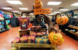 19 First-timer Tips for HalloWeekends at Cedar Point (2025 Ultimate ...