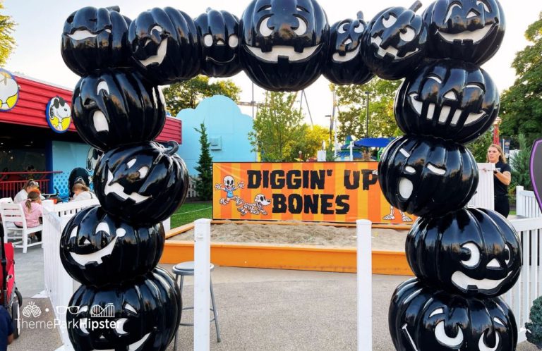 19 First-timer Tips for HalloWeekends at Cedar Point (2025 Ultimate ...