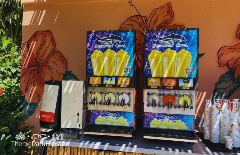 2025 Ultimate Guide to Discovery Cove at SeaWorld Orlando: Florida's ...