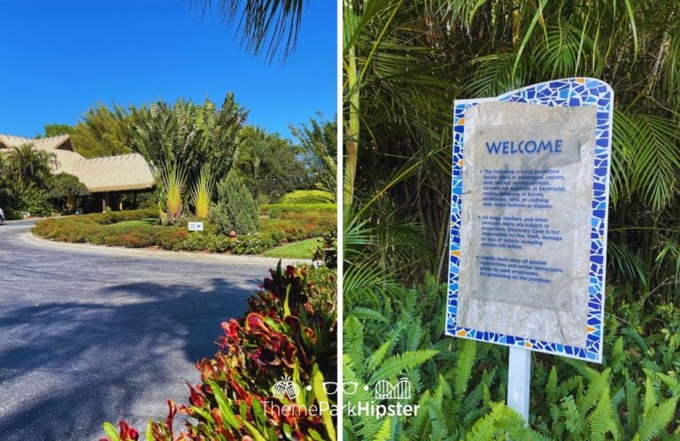 2026 Ultimate Guide to Discovery Cove at SeaWorld Orlando: Florida's ...