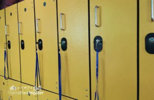 2025 Ultimate Guide to Discovery Cove at SeaWorld Orlando: Florida's ...