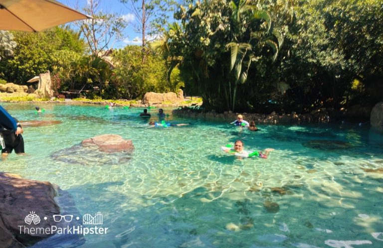 2025 Ultimate Guide to Discovery Cove at SeaWorld Orlando: Florida's ...