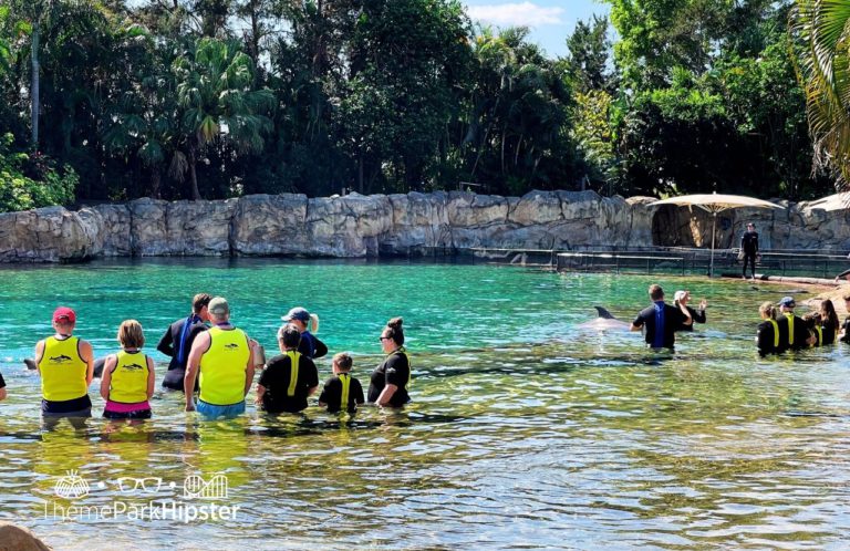 2025 Ultimate Guide to Discovery Cove at SeaWorld Orlando: Florida's ...