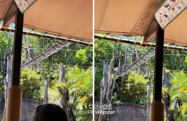 Embark on a Wild Expedition: Ultimate Guide to Kilimanjaro Safaris at ...