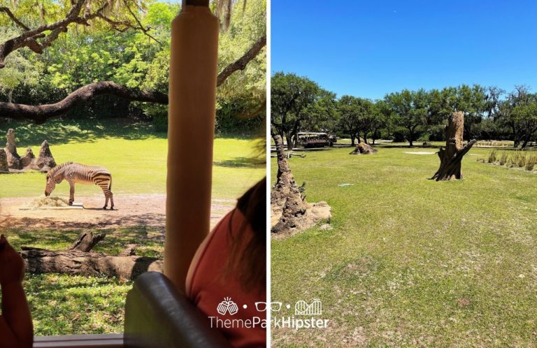 Embark on a Wild Expedition: Ultimate Guide to Kilimanjaro Safaris at ...