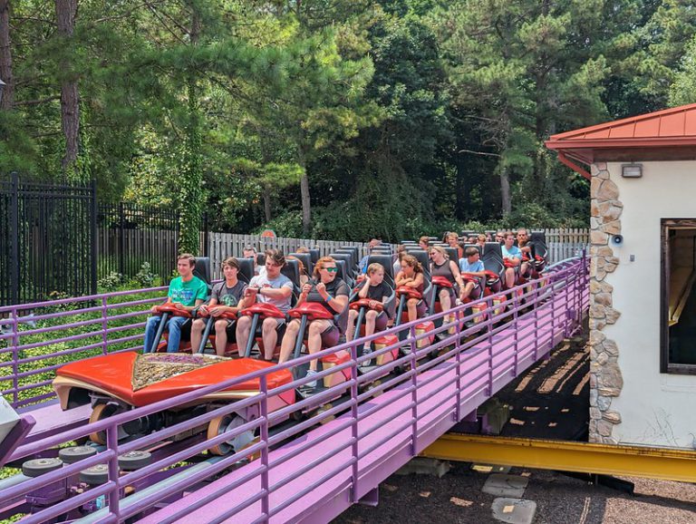 15 Jaw-Dropping Roller Coaster Fun Facts that Will Leave You Speechless ...