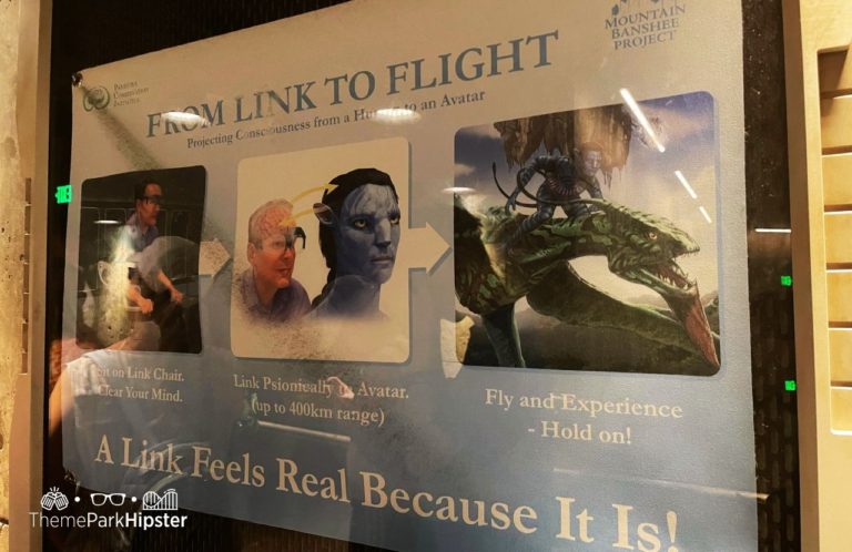 Fly Like Never Before: The Ultimate Guide to Avatar Flight of Passage ...