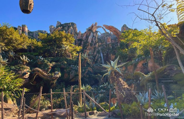 Fly Like Never Before: The Ultimate Guide to Avatar Flight of Passage ...
