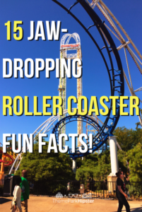 15 Jaw-Dropping Roller Coaster Fun Facts that Will Leave You Speechless ...