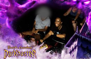 Ultimate Guide to Busch Gardens Williamsburg Elite VIP Tour: Is it ...