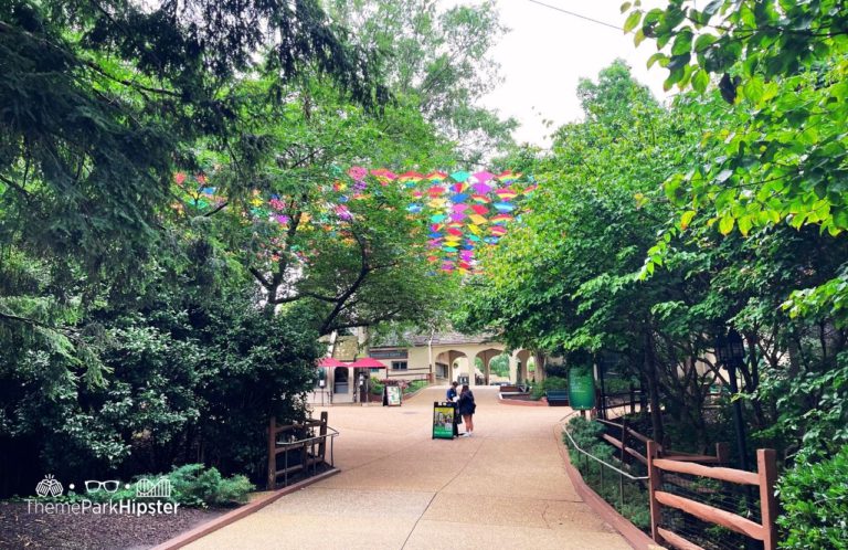 13 First-Timer Tips for Busch Gardens Williamsburg to Save You Time and ...