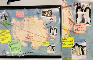 Penguin Trek Roller Coaster at SeaWorld Orlando: The ULTIMATE Guide ...