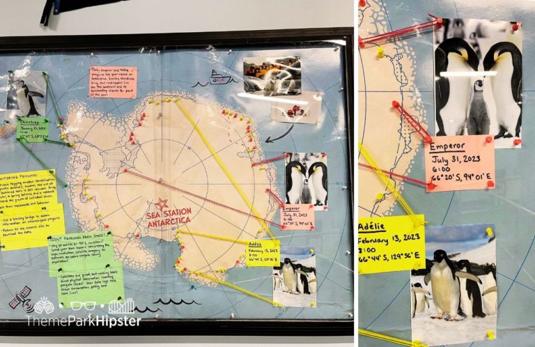 Penguin Trek Roller Coaster at SeaWorld Orlando: The ULTIMATE Guide ...