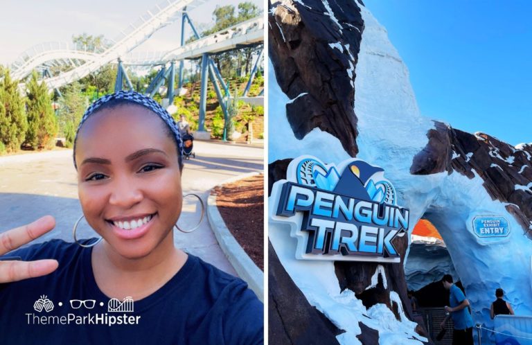 Penguin Trek Roller Coaster at SeaWorld Orlando: The ULTIMATE Guide ...