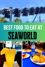 Top 10 Must-Try Food at SeaWorld Orlando: The Best Things to EAT in ...