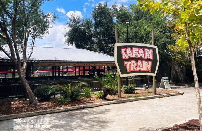 2026 First-timer’s Guide to Wild Adventures Theme Park: 17 Tips for the ...