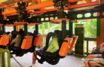 2026 First-timer’s Guide to Wild Adventures Theme Park: 17 Tips for the ...
