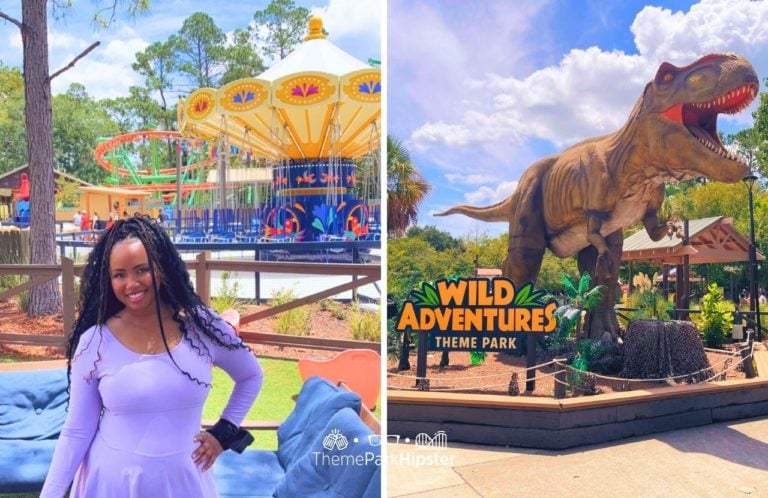 2026 First-timer’s Guide to Wild Adventures Theme Park: 17 Tips for the ...