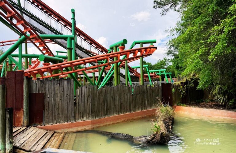 Wild Adventures Turns 30 in 2026: Everything New You Can’t Miss This ...
